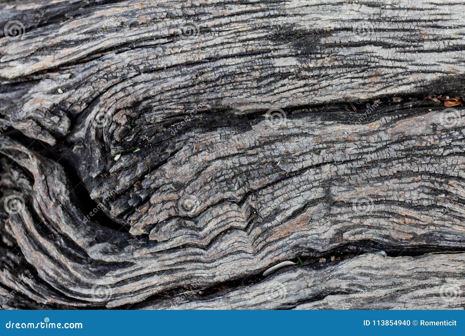Wood Texture with Natural Pattern Stock Photo - Image of tree, skin ...