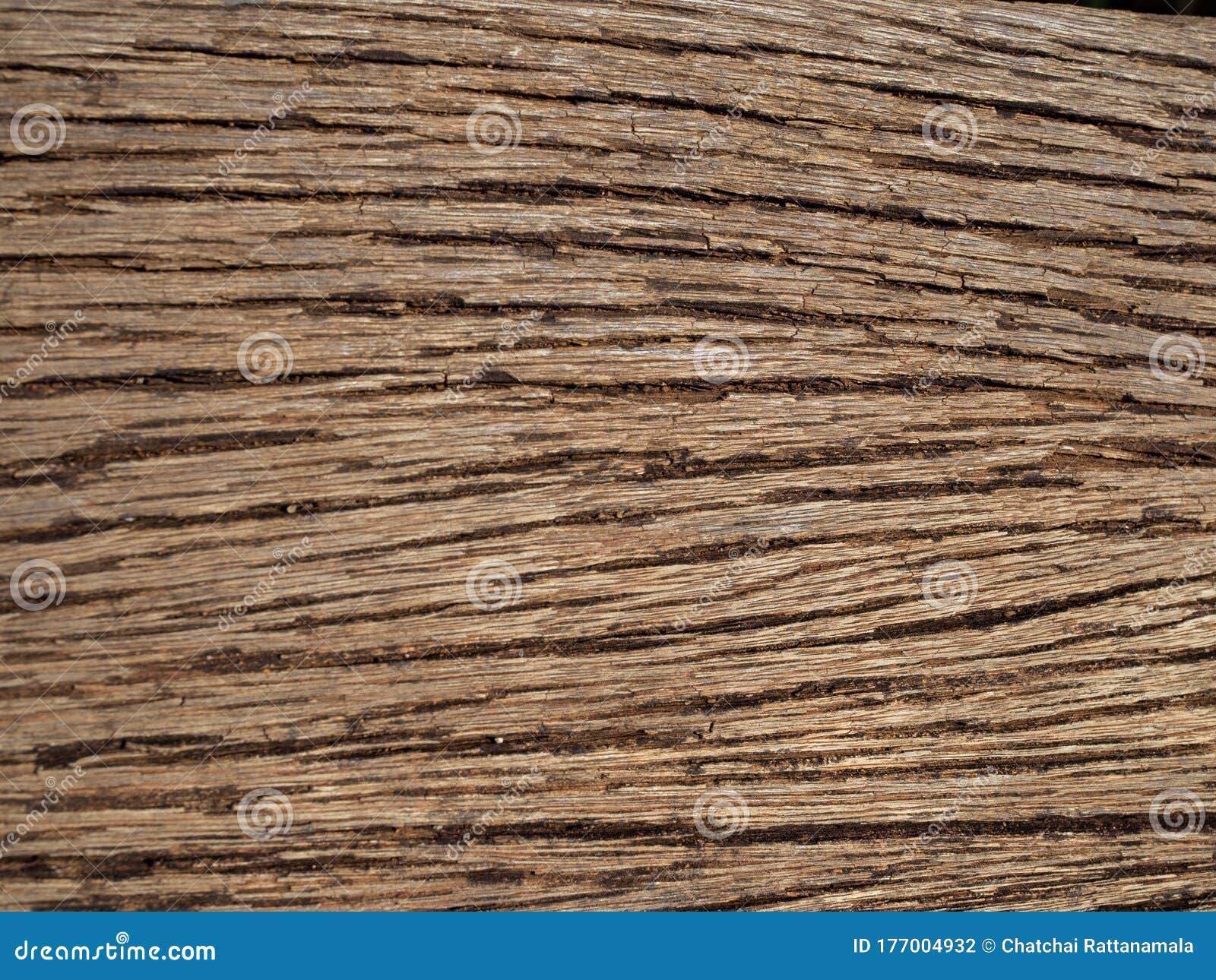 Wood Texture with Natural Patterns Background Stock Photo - Image of ...