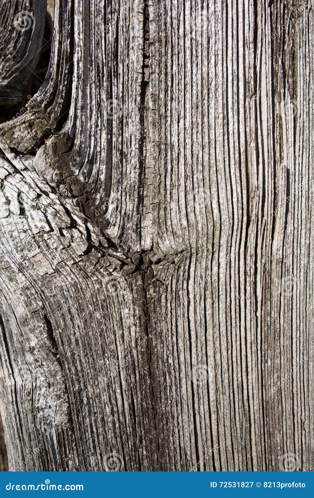Wood Texture with Natural Patterns, Old Wood with Knots Stock Image ...