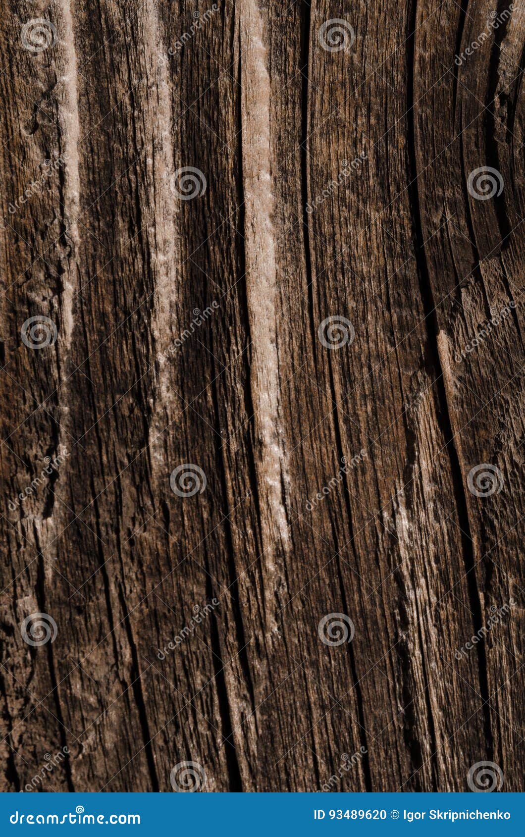 Wood Texture Neutral Gray Color Background Stock Photo - Image of ...