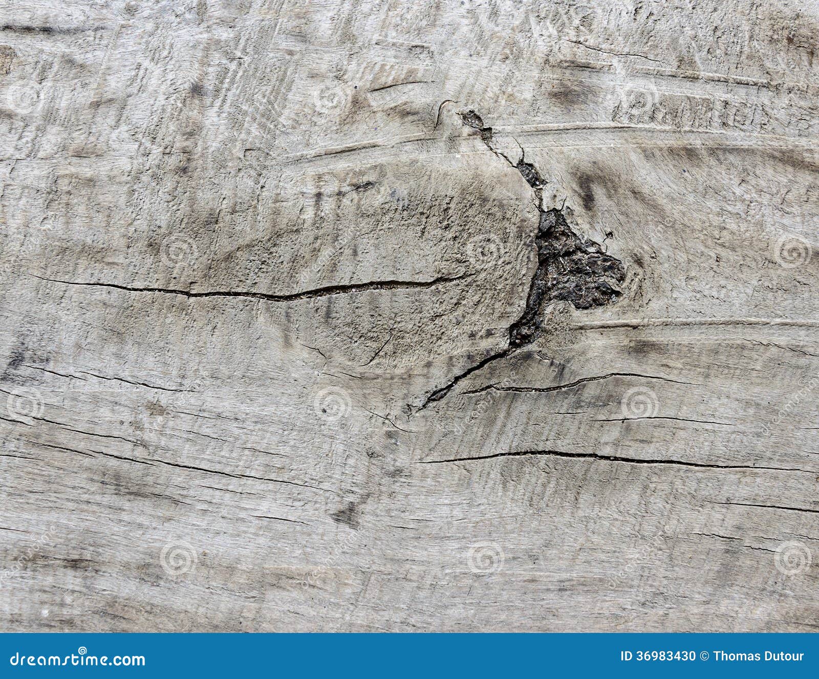 Wood texture stock photo. Image of sawn, flooring, aged - 36983430