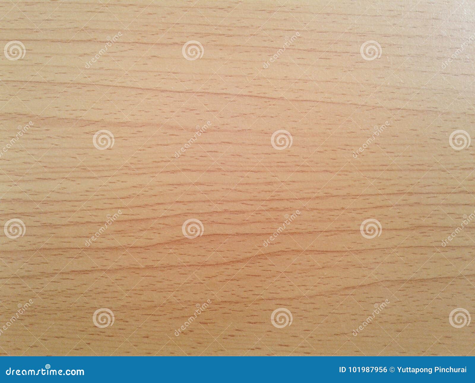 Wood Texture, Oak Texture Background Stock Illustration - Illustration ...