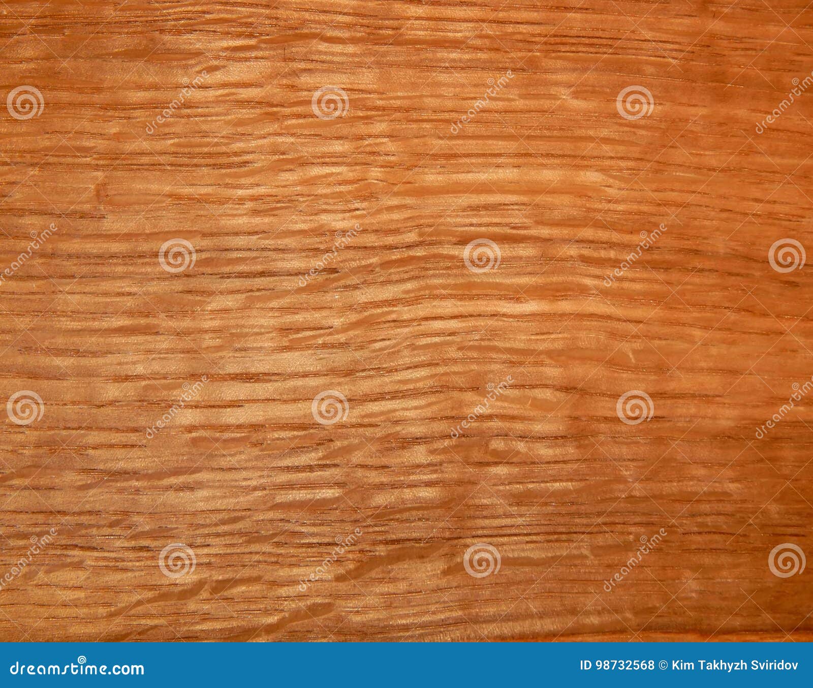 Wood Texture. Oak Tree Sheet Surface Stock Photo - Image of panel ...