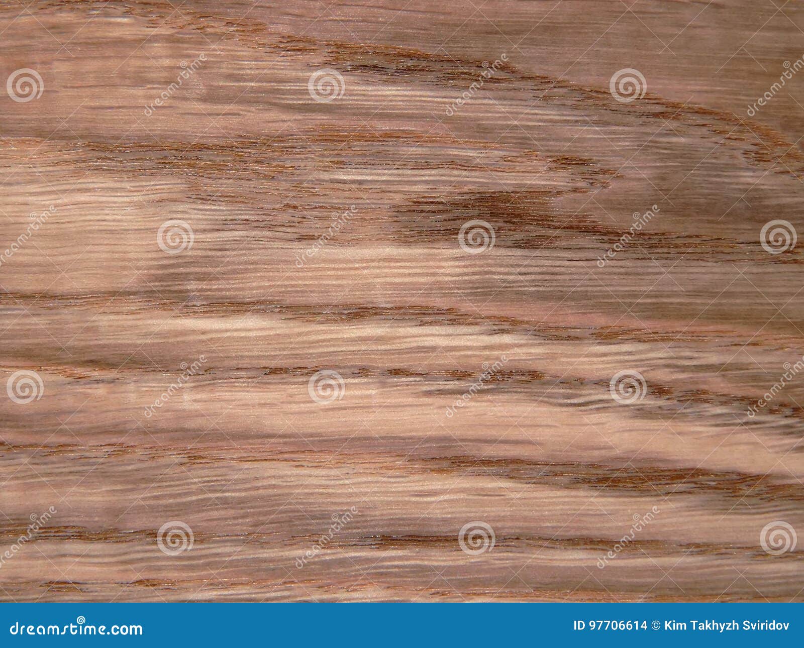 Wood Texture. Oak Tree Sheet Surface Stock Photo - Image of retro ...