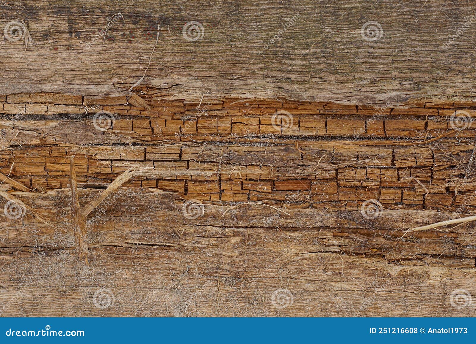 Wood Texture from Old and Frayed Board Stock Photo - Image of bark ...