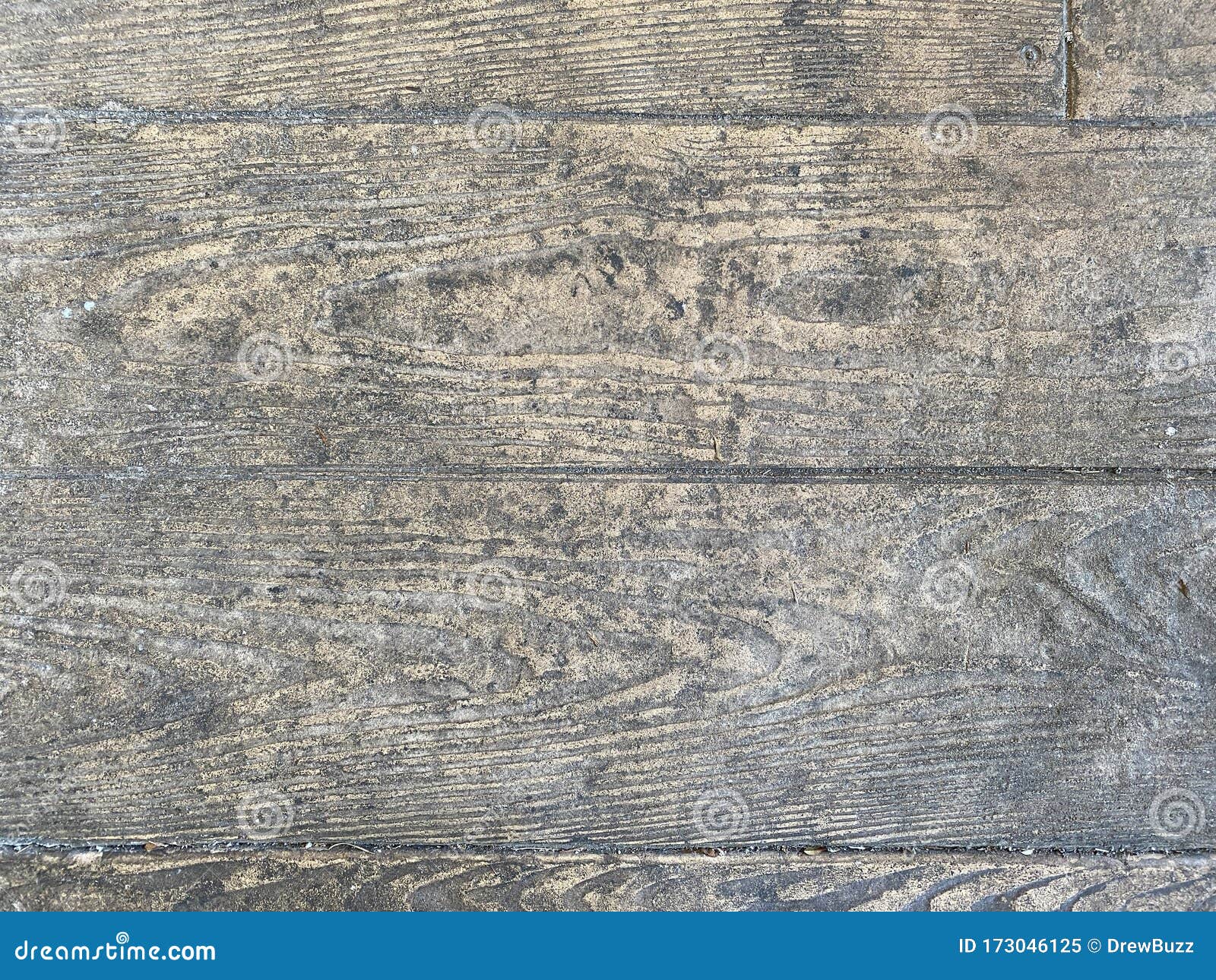 Horizontal Grain Oak Texture Stock Photography | CartoonDealer.com ...