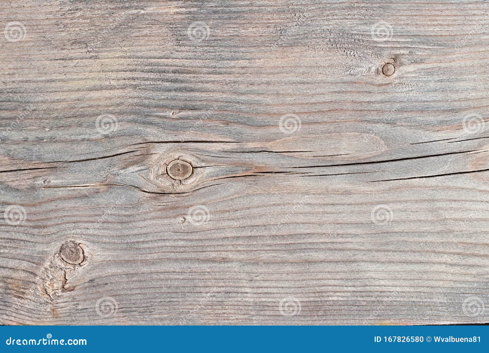 Wood Texture Panel Raw Natural Patterns Stock Photo - Image of patterns ...
