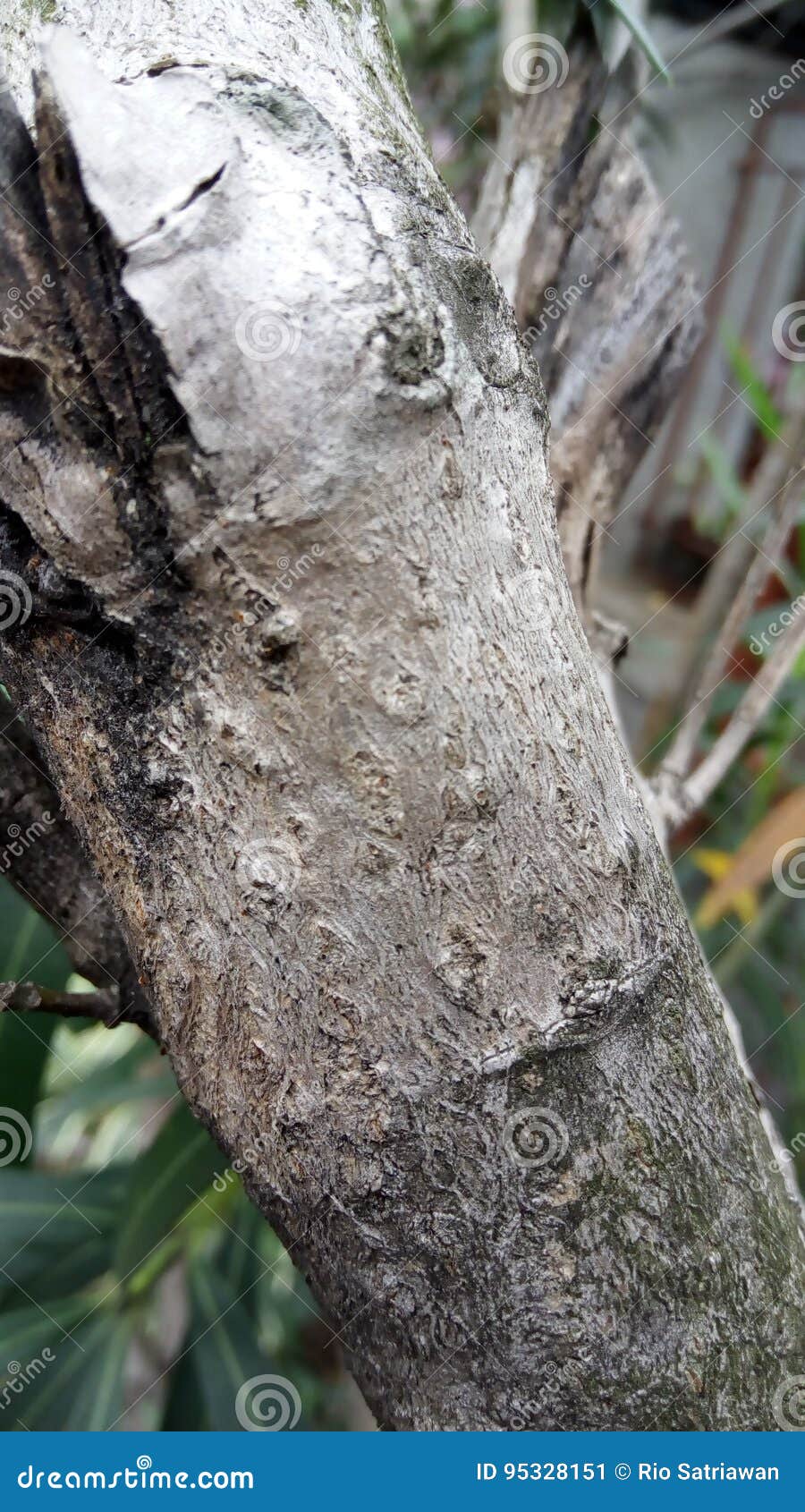 Wood Texture Pattern Rusty Grunge Stock Image - Image of board, brown ...