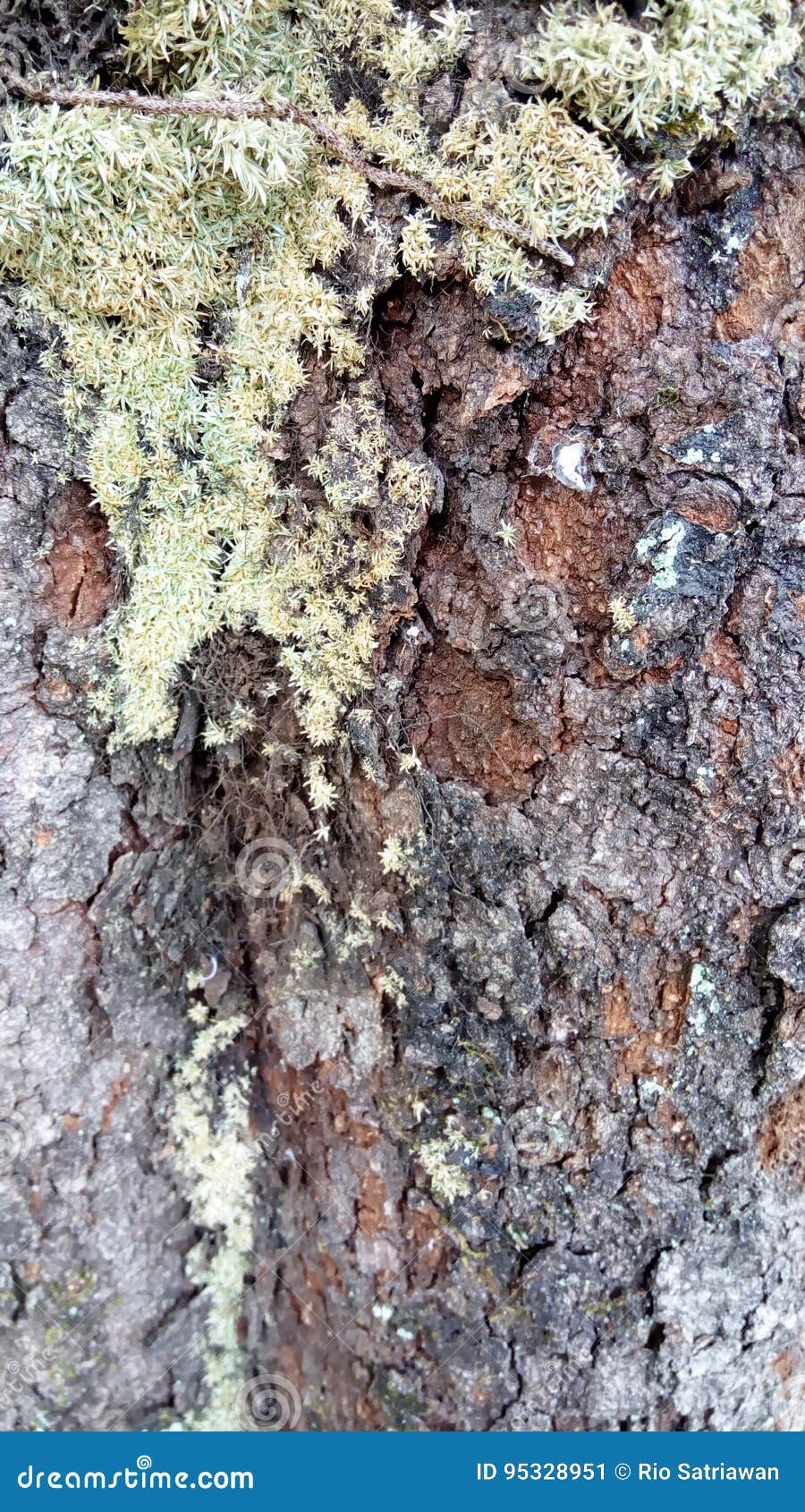 Wood Texture Pattern Rusty Grunge Stock Image - Image of light ...