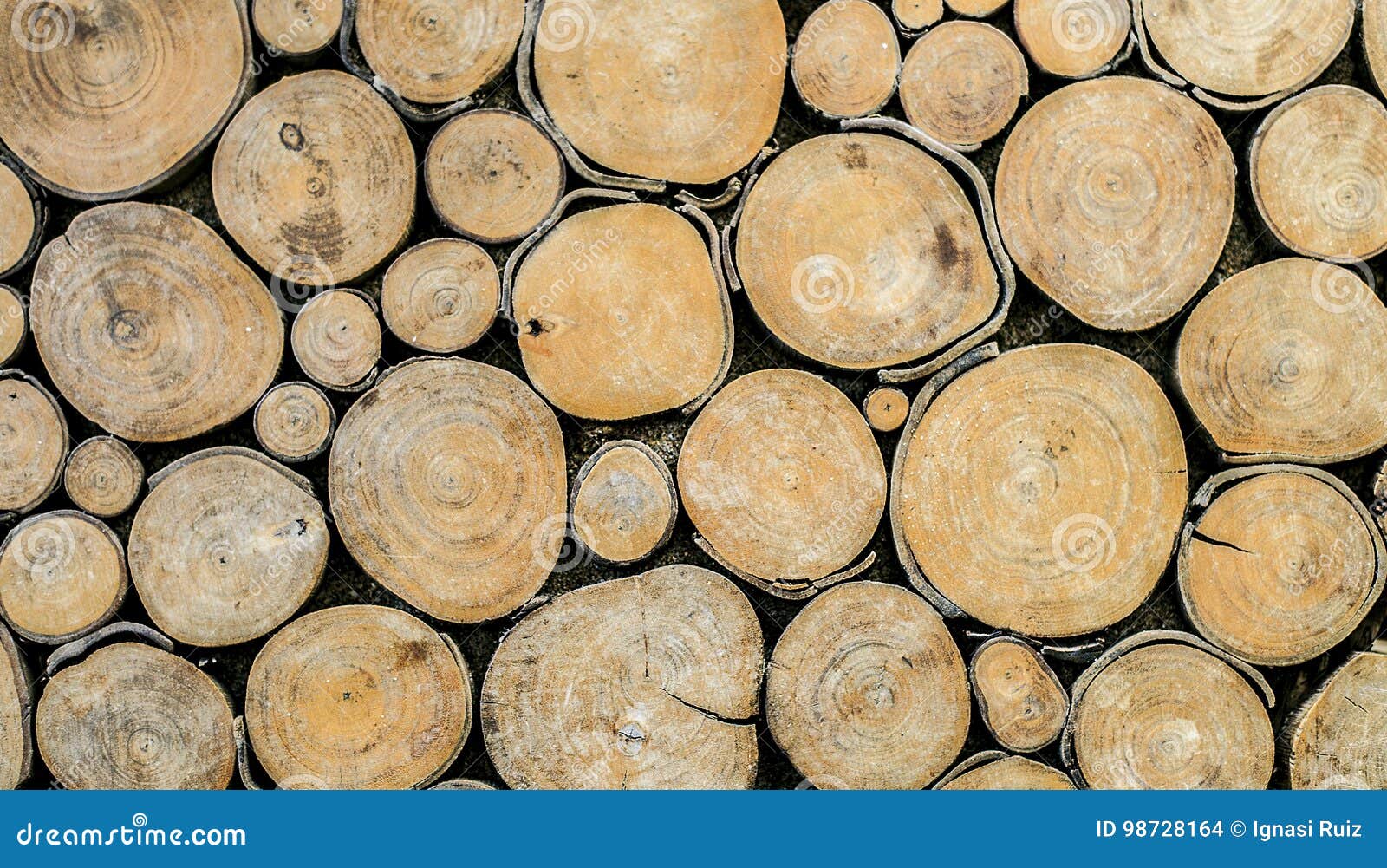 Trunch Background Stock Photos - Free & Royalty-Free Stock Photos from ...