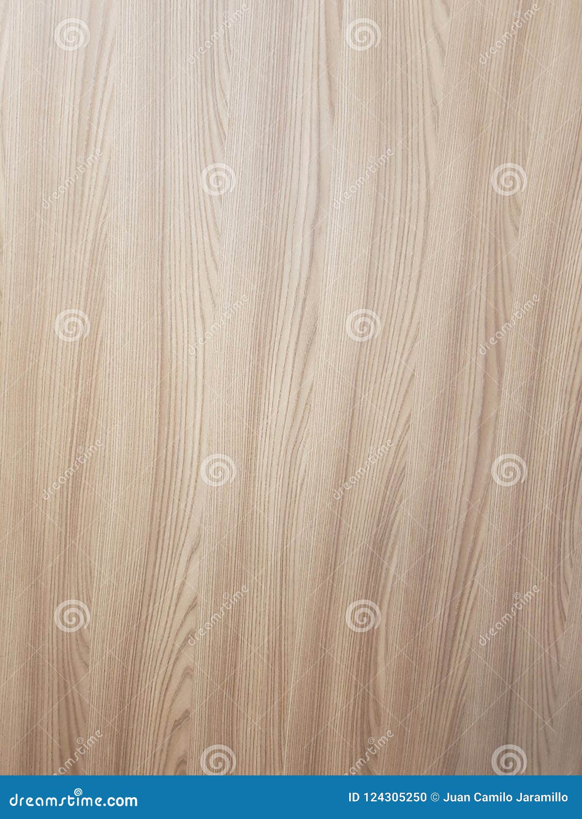 Wood texture pine or oak stock photo. Image of nature - 124305250