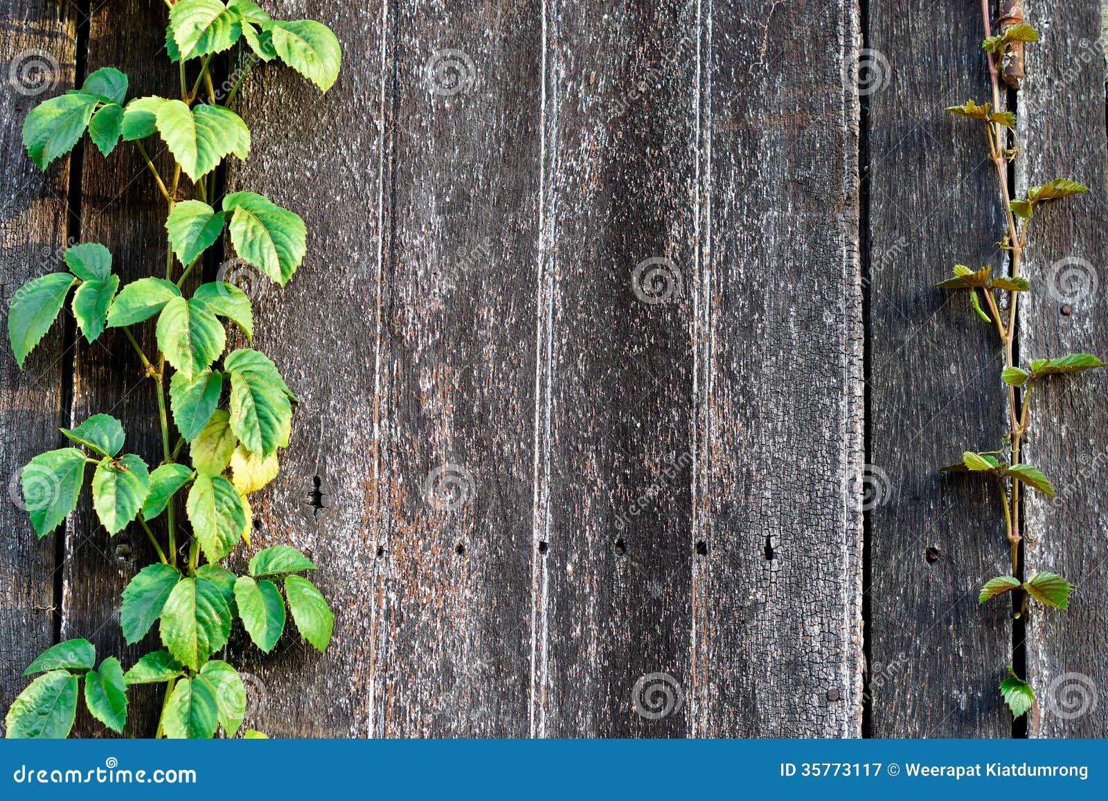 Wood texture stock image. Image of pattern, material - 35773117