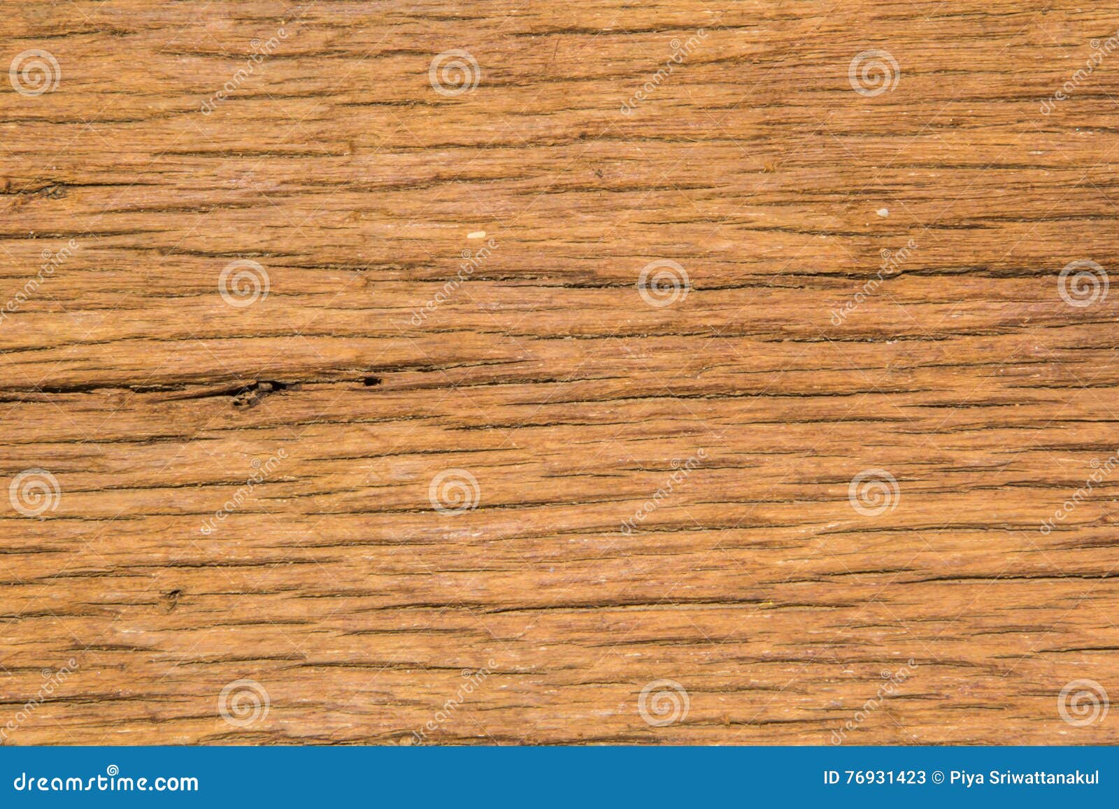 Wood texture stock image. Image of wood, plate, texture - 76931423