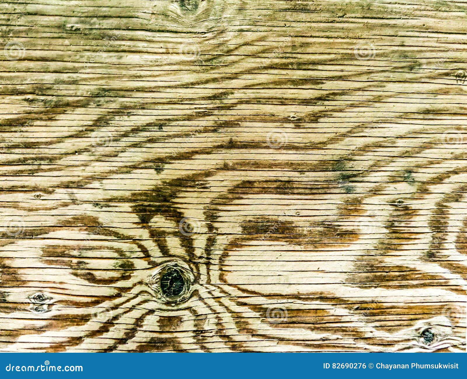 Wood Texture Right, One Part in Three of Wood Texture Panorama Stock ...