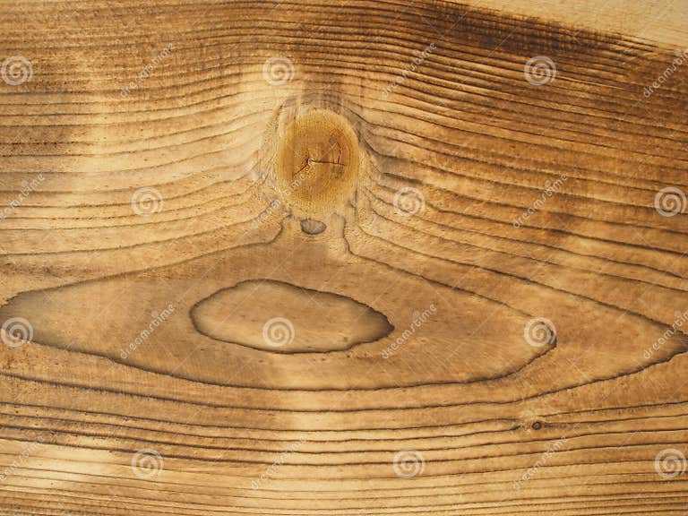 Wood texture with rings stock image. Image of maple, material - 9157697