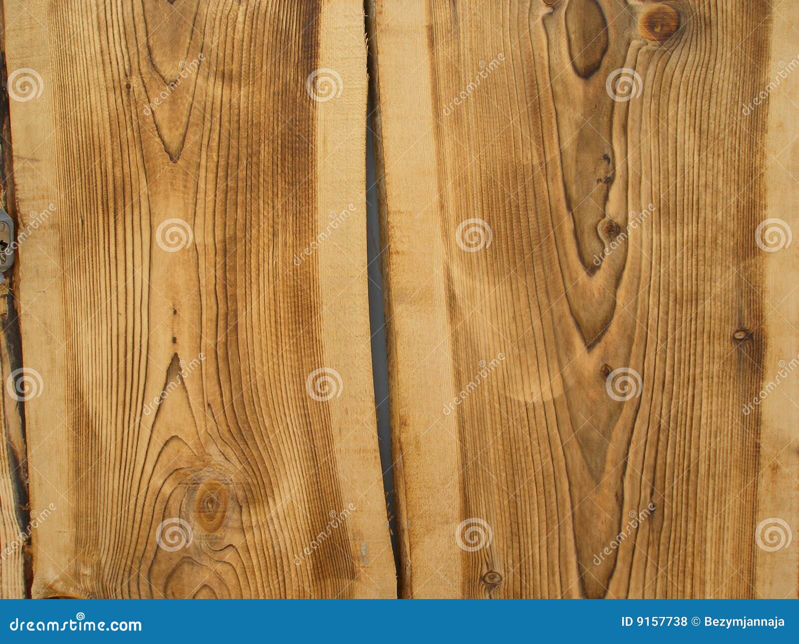 Wood texture with rings stock photo. Image of hardwood - 9157738