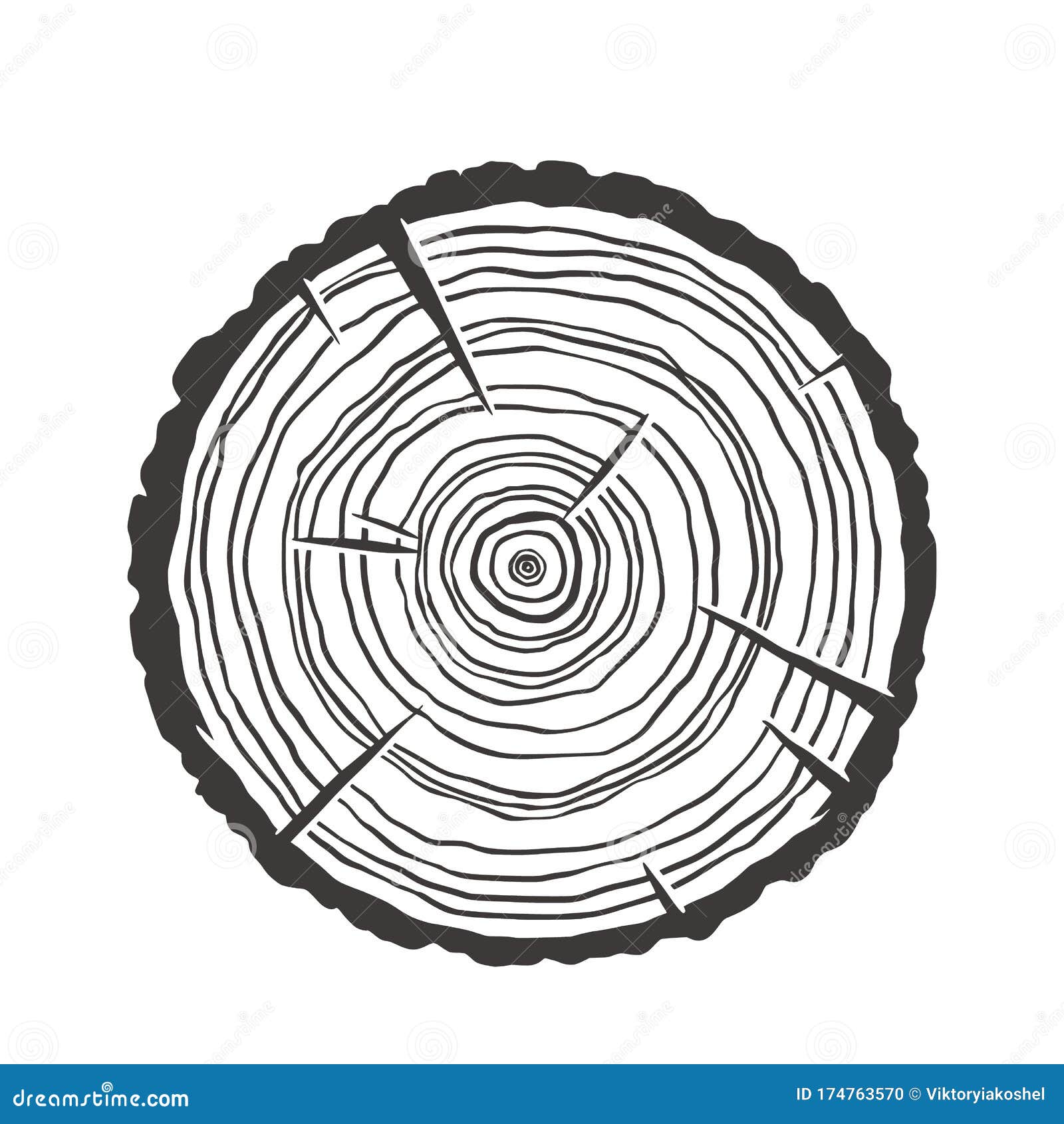 Cut Tree Wood Rings Trunk Timber Wooden Texture Icon In Circle Round ...