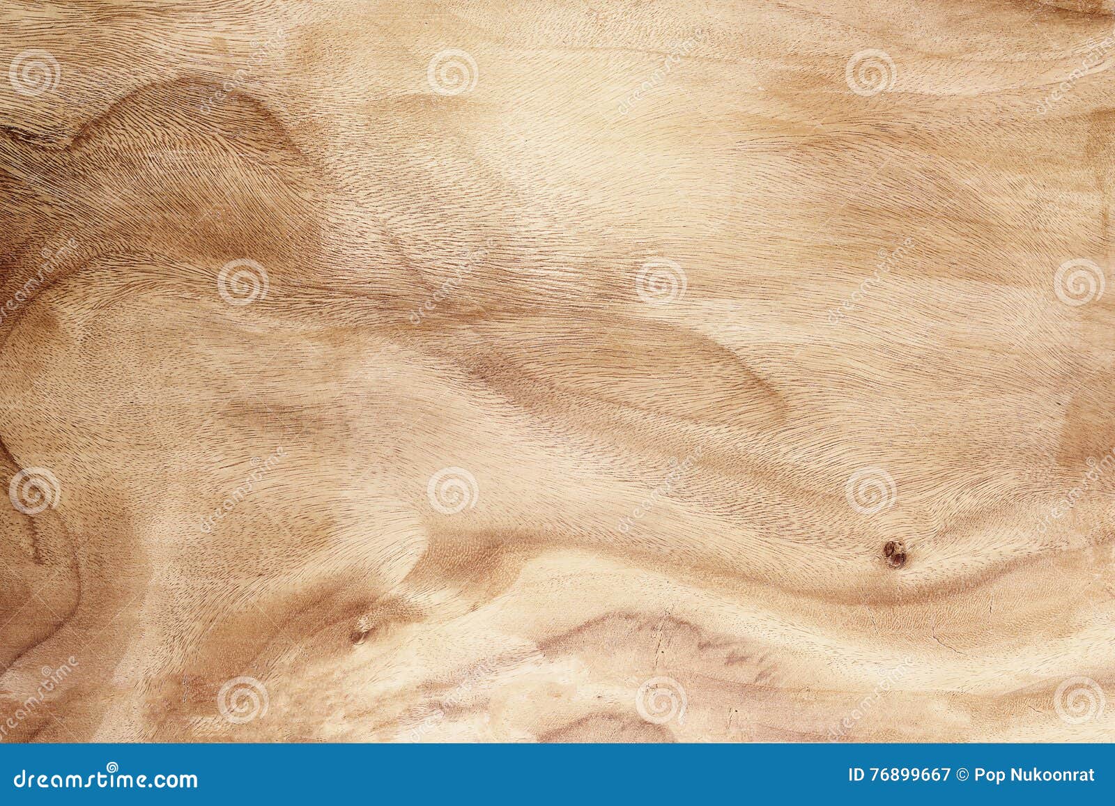 Wood Texture Rough and Burr for Background Stock Image - Image of floor ...