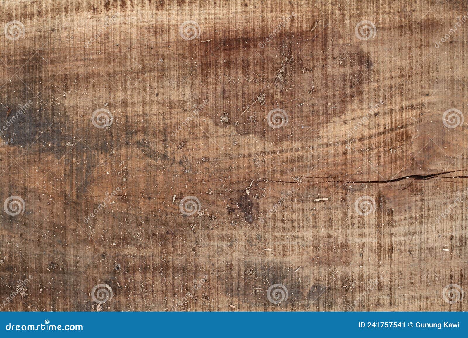 Texture of Samanea Saman Tree Stock Image - Image of forest, backdrop ...