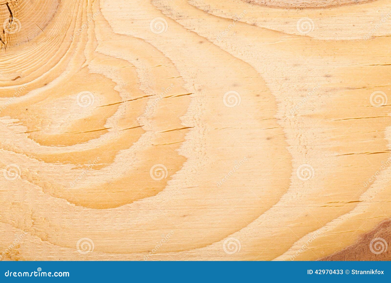 Wood Texture Saw Cut on the Board Stock Image - Image of plank, brown ...
