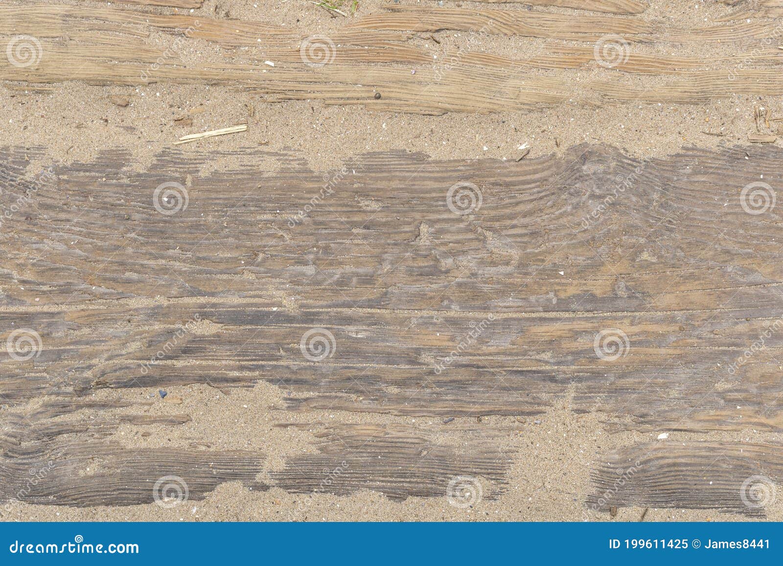 Wood texture stock image. Image of sand, wooden, natural - 199611425