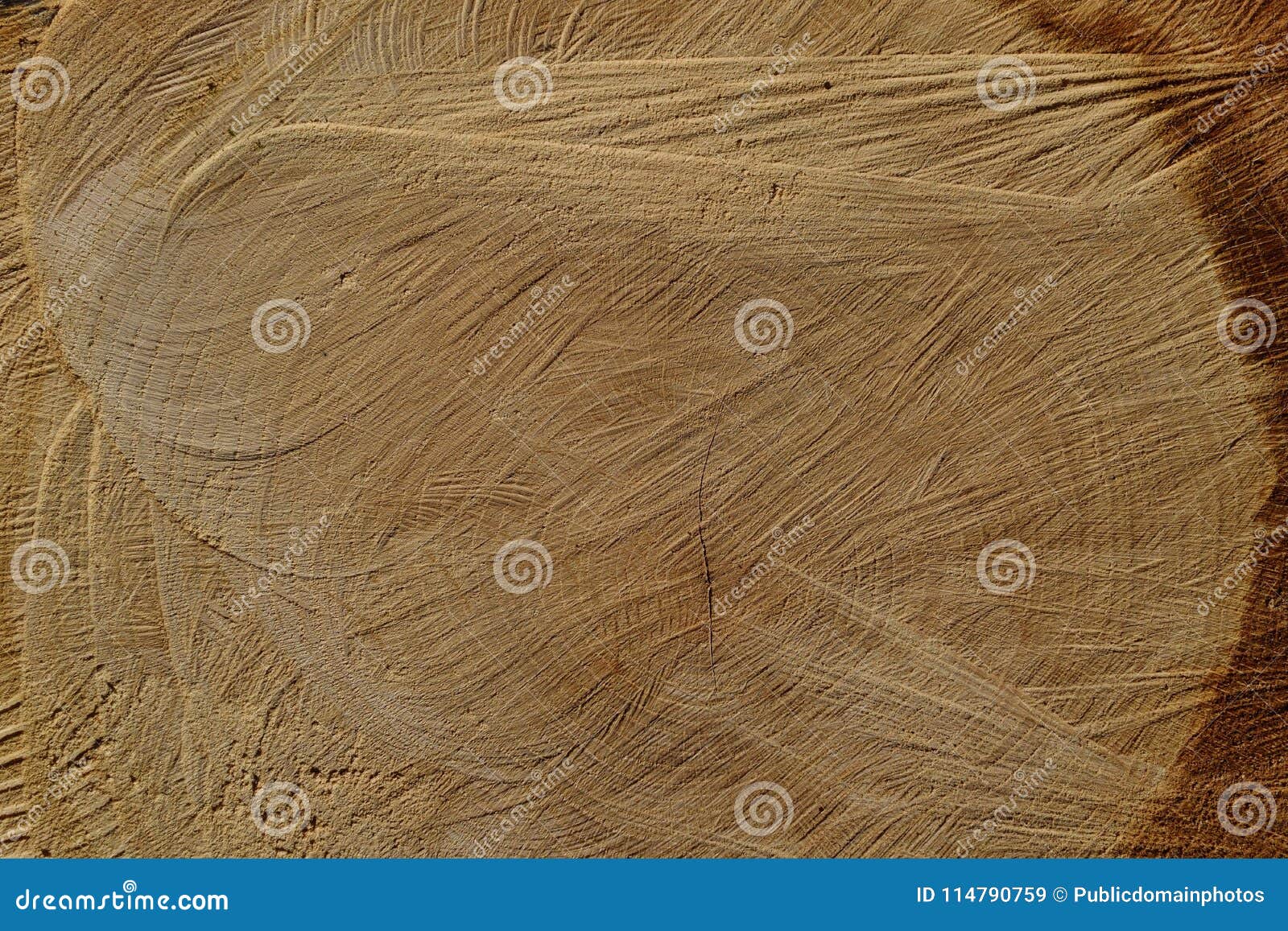 Wood, Texture, Wood Stain, Grass Family Picture. Image: 114790759