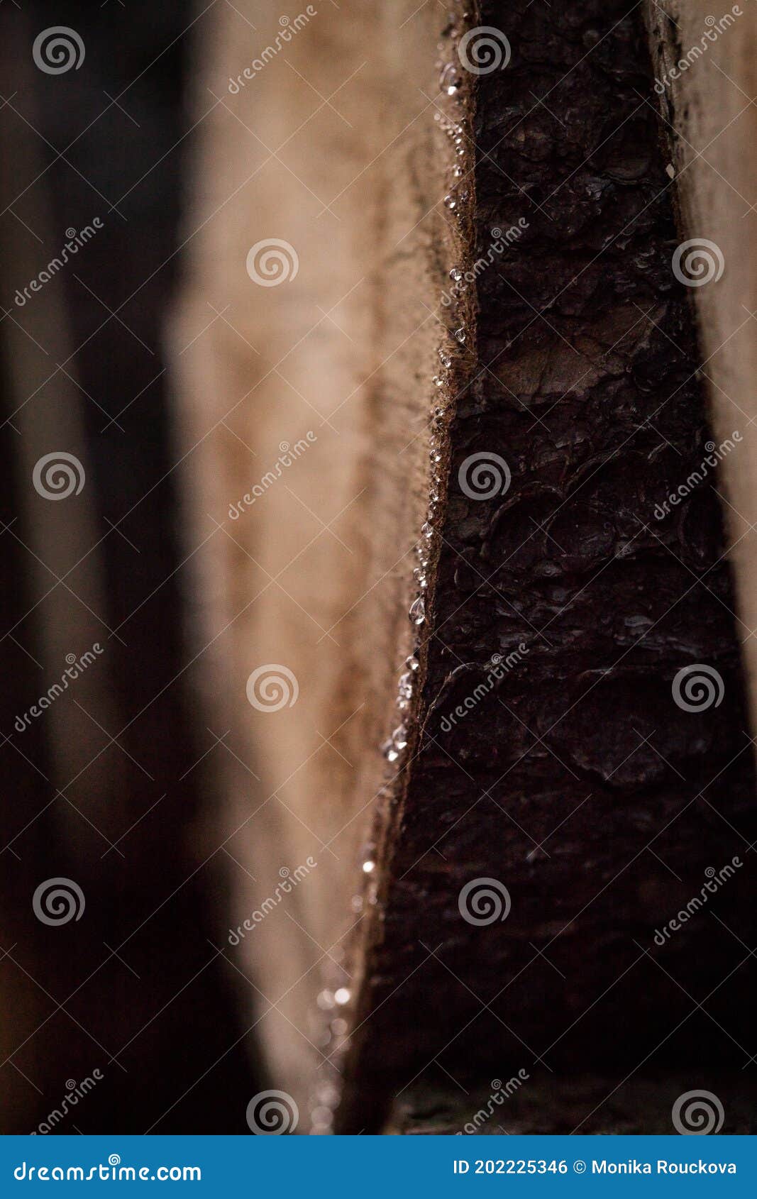 Wood Texture Structure Forest Nature Bokeh Stock Photo - Image of wall ...