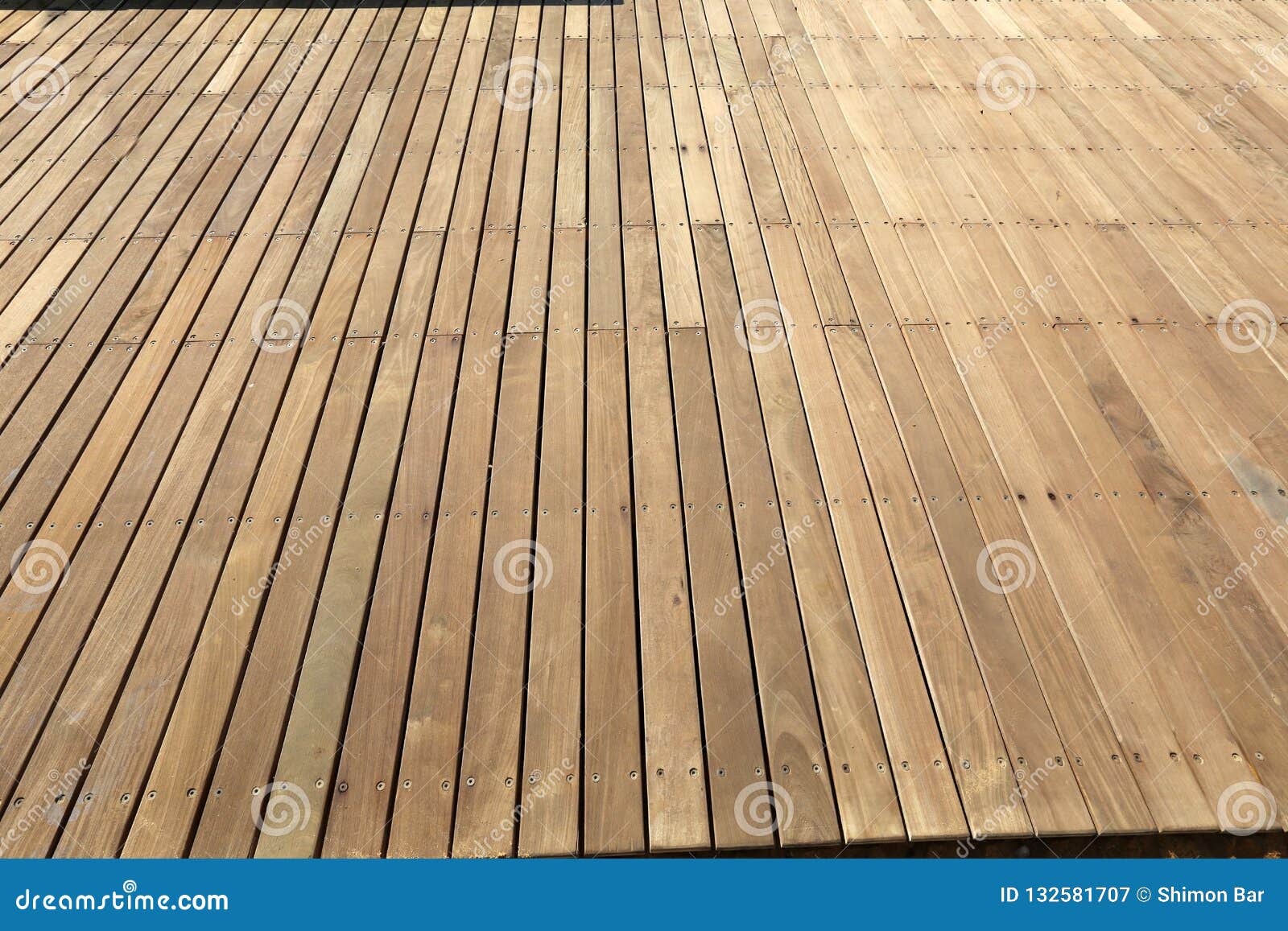 Wood texture and structure stock image. Image of shells - 132581707