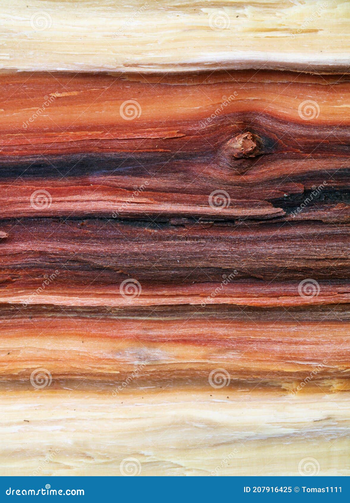 Super Long Walnut Planks Texture Background. Walnut Wood Texture ...