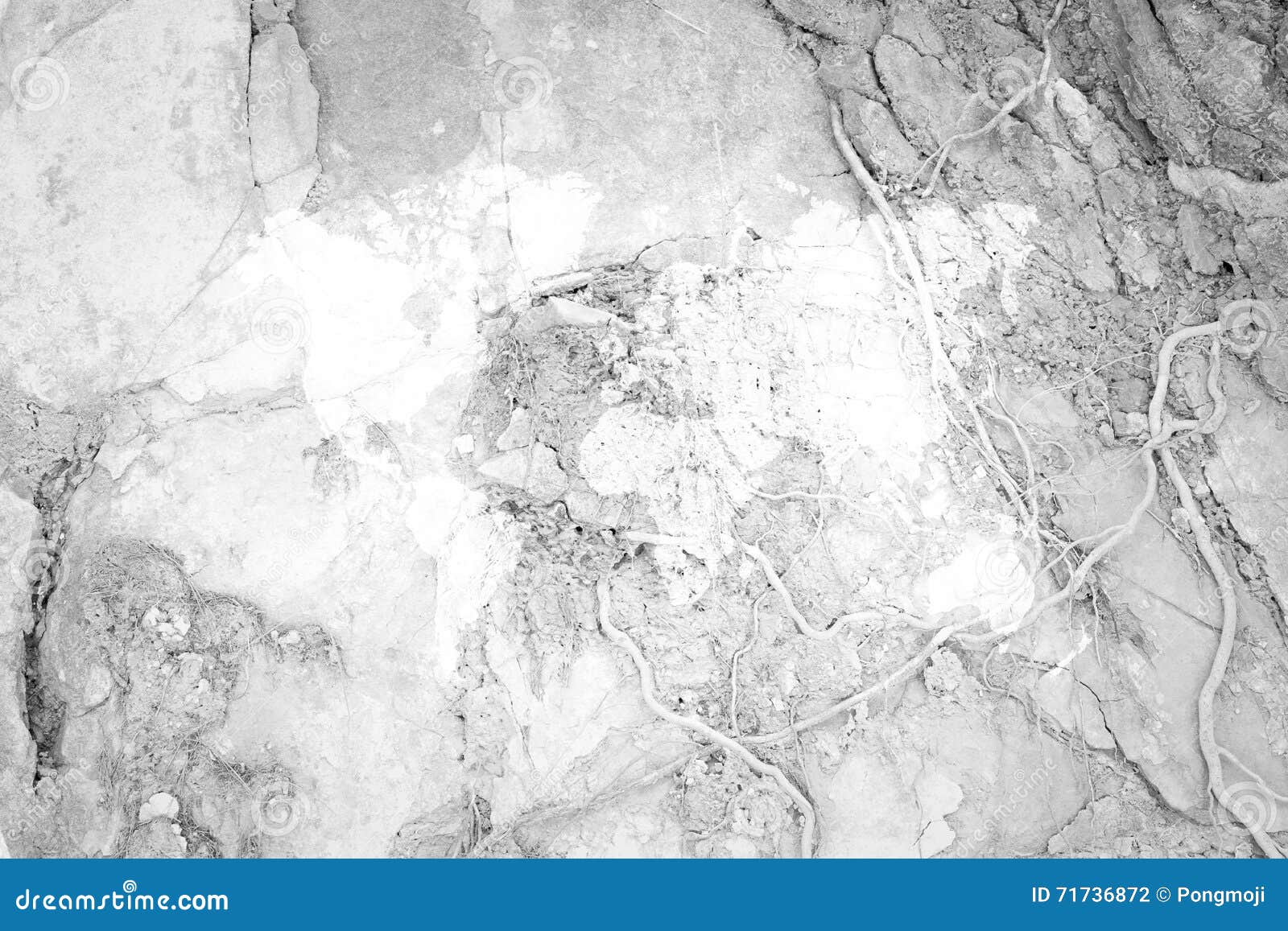 Wood Texture Surface with World Map Stock Photo - Image of abstract ...