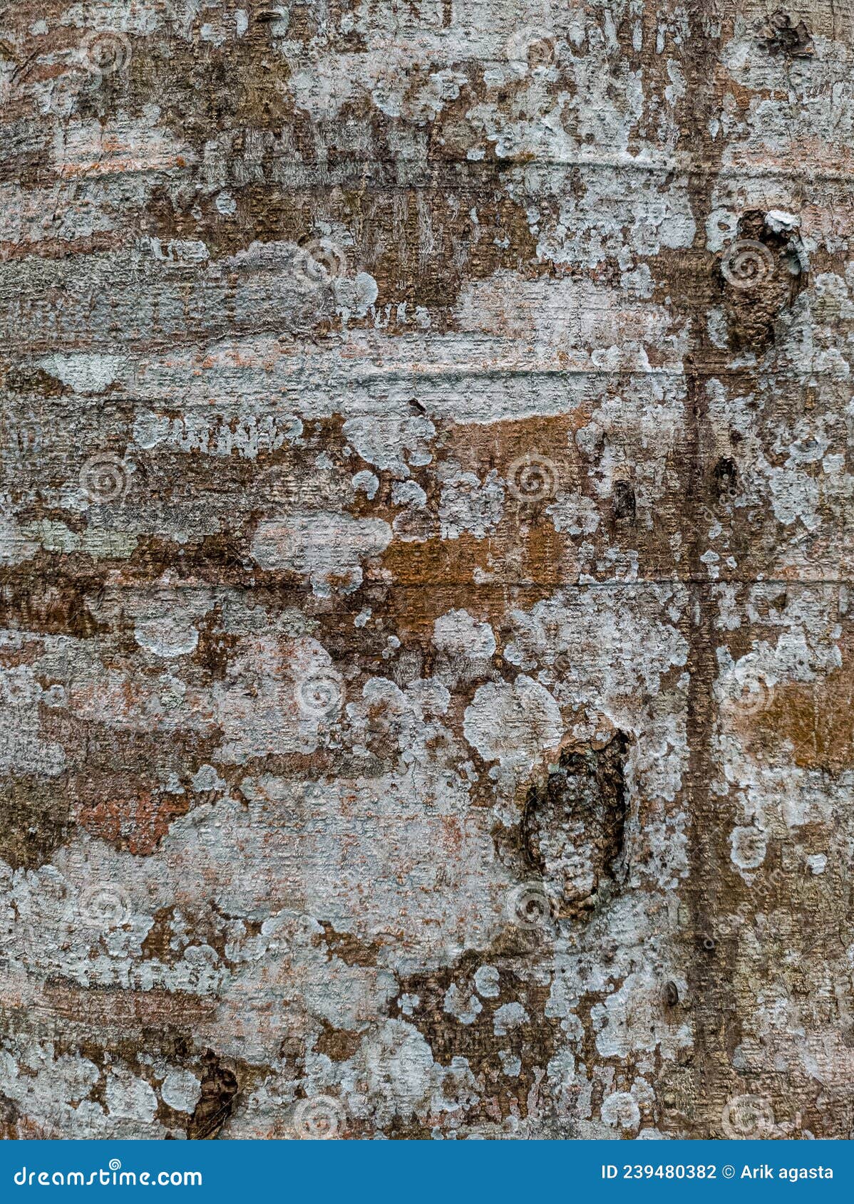 Wood Texture / Tekstur Kayu Stock Photo - Image of rock, brickwork ...