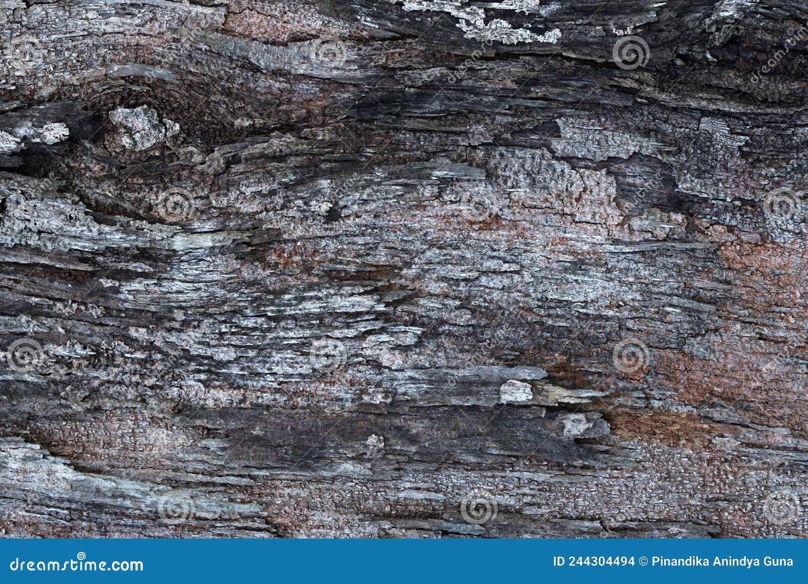 Wood texture sharp stock photo. Image of color, decorative - 244304494