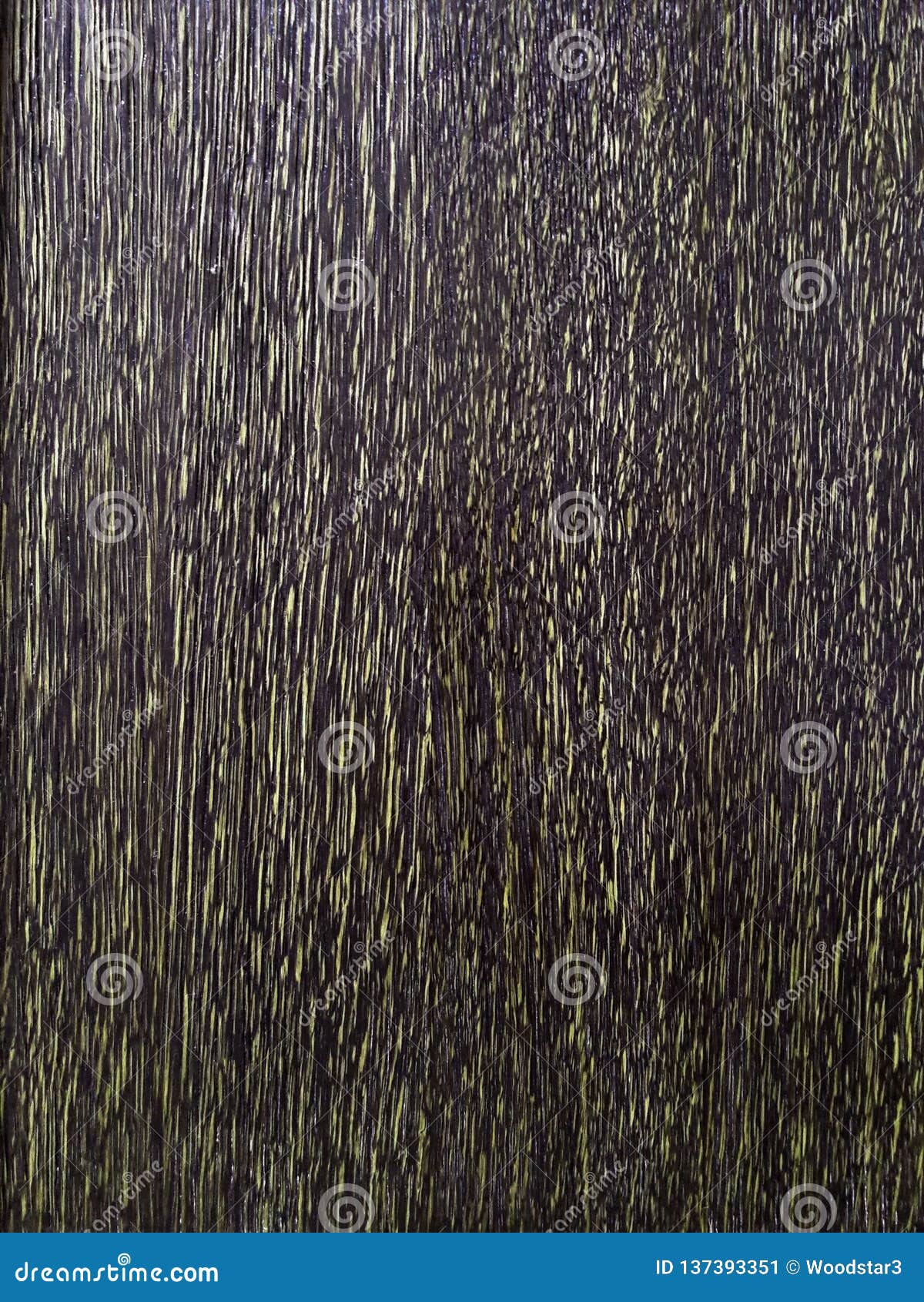 Wood Texture. Texture Relief. Breeds of Solid Wood. Stock Image - Image ...