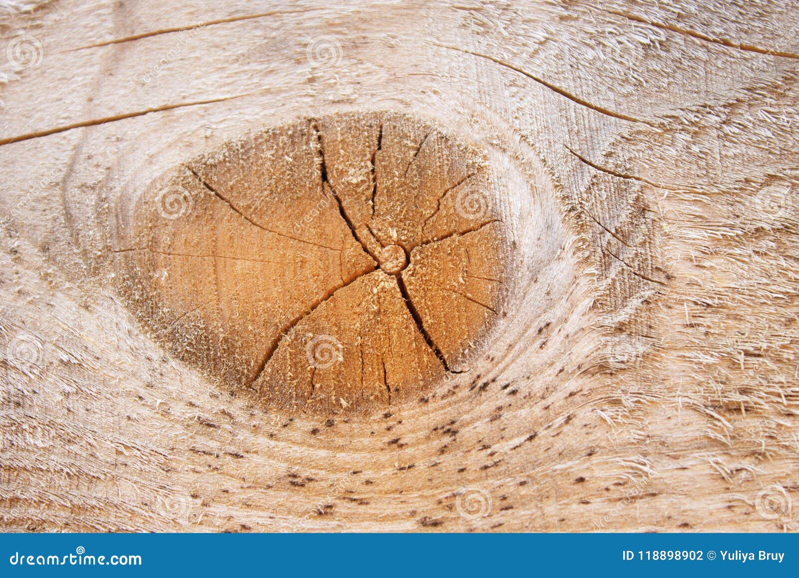 Wood Texture. Texture of a Tree Stock Photo - Image of wooden, swirl ...