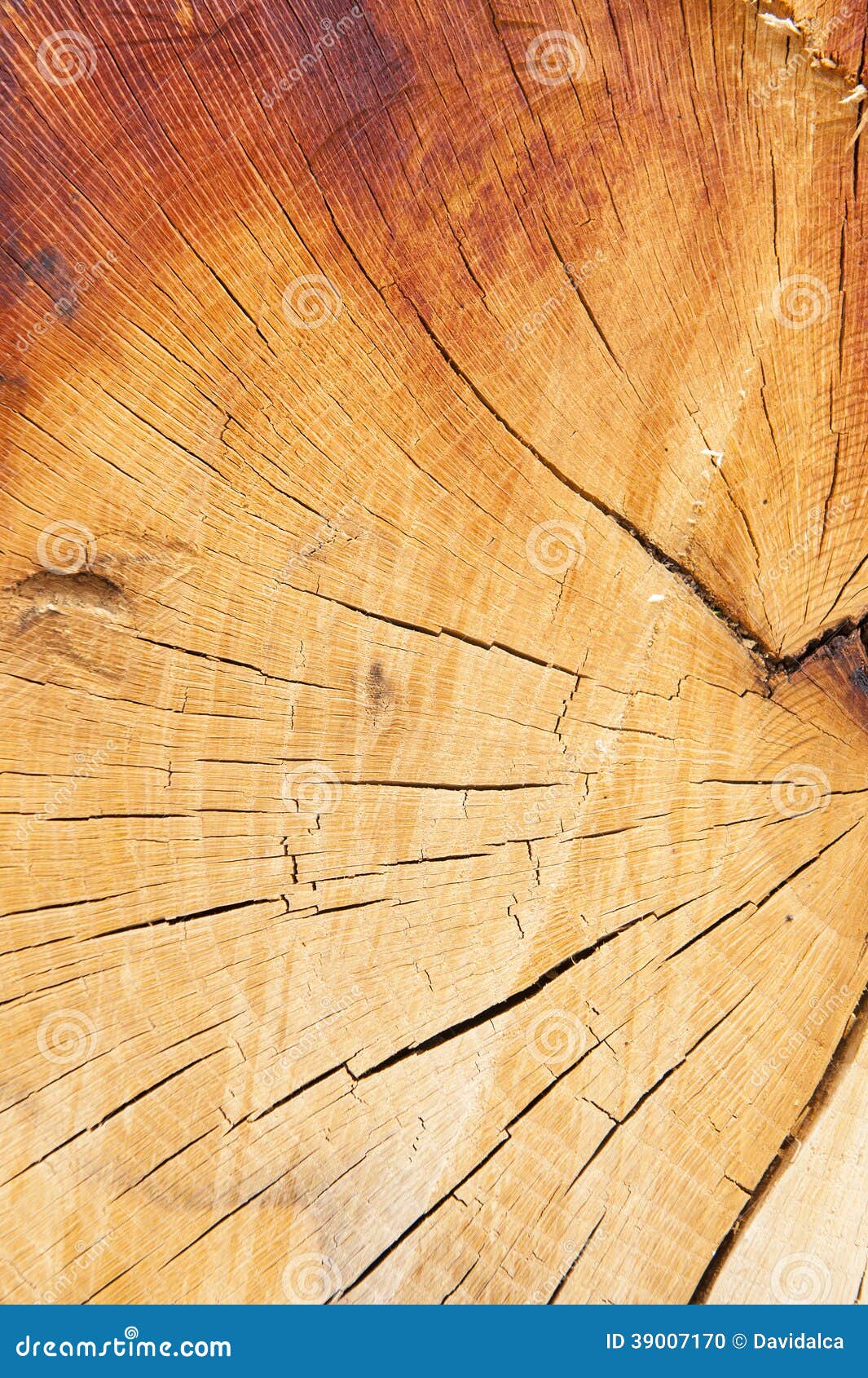 Wood texture stock photo. Image of forest, nature, history - 39007170