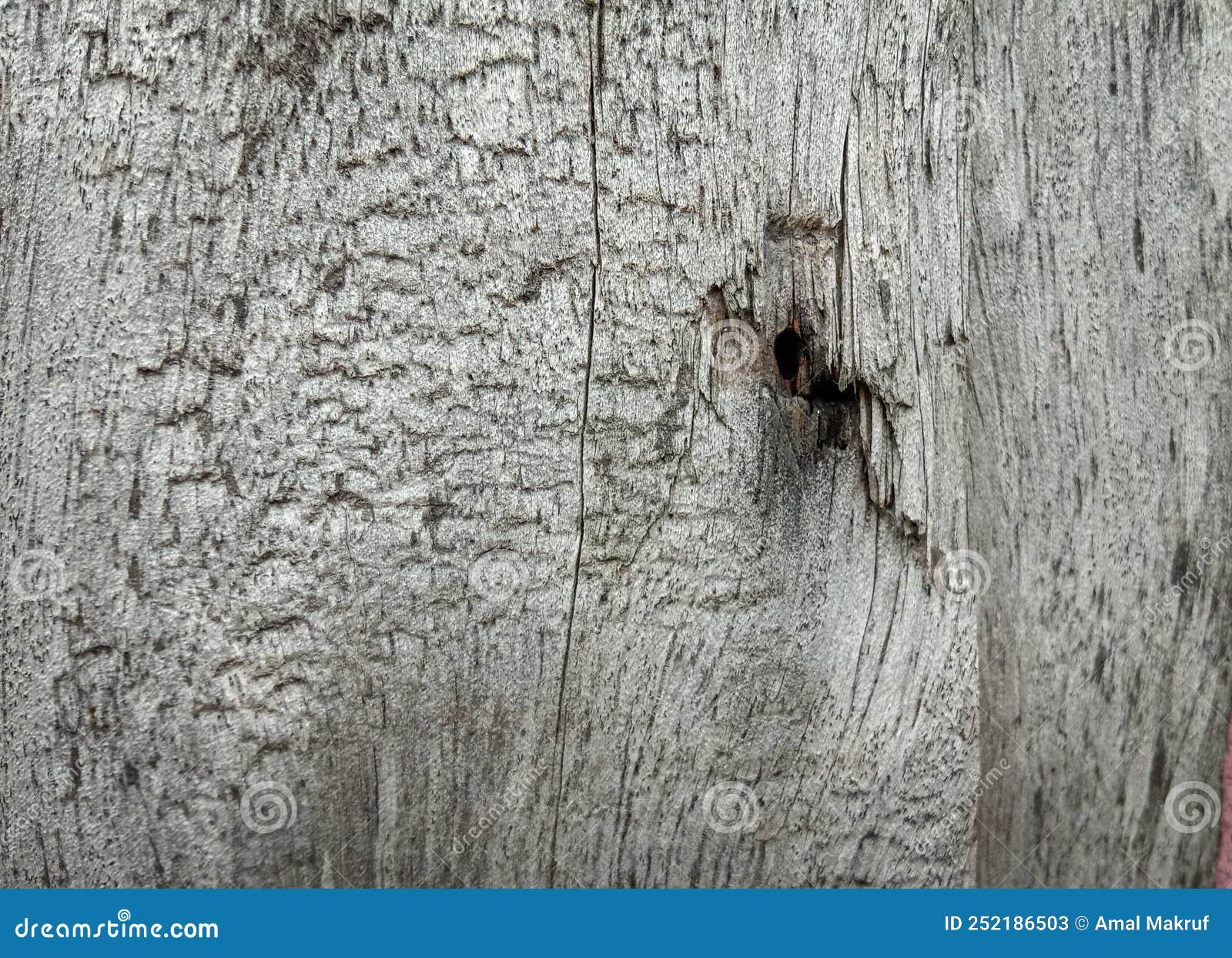 Wood Texture with Tree Eyes Stock Image - Image of eyes, wallpaper ...