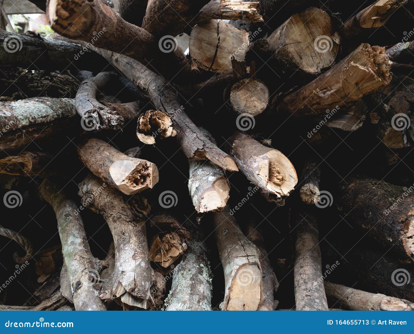 Wood Texture - Tree - Wood Plank Stock Image - Image of panel, wooden ...
