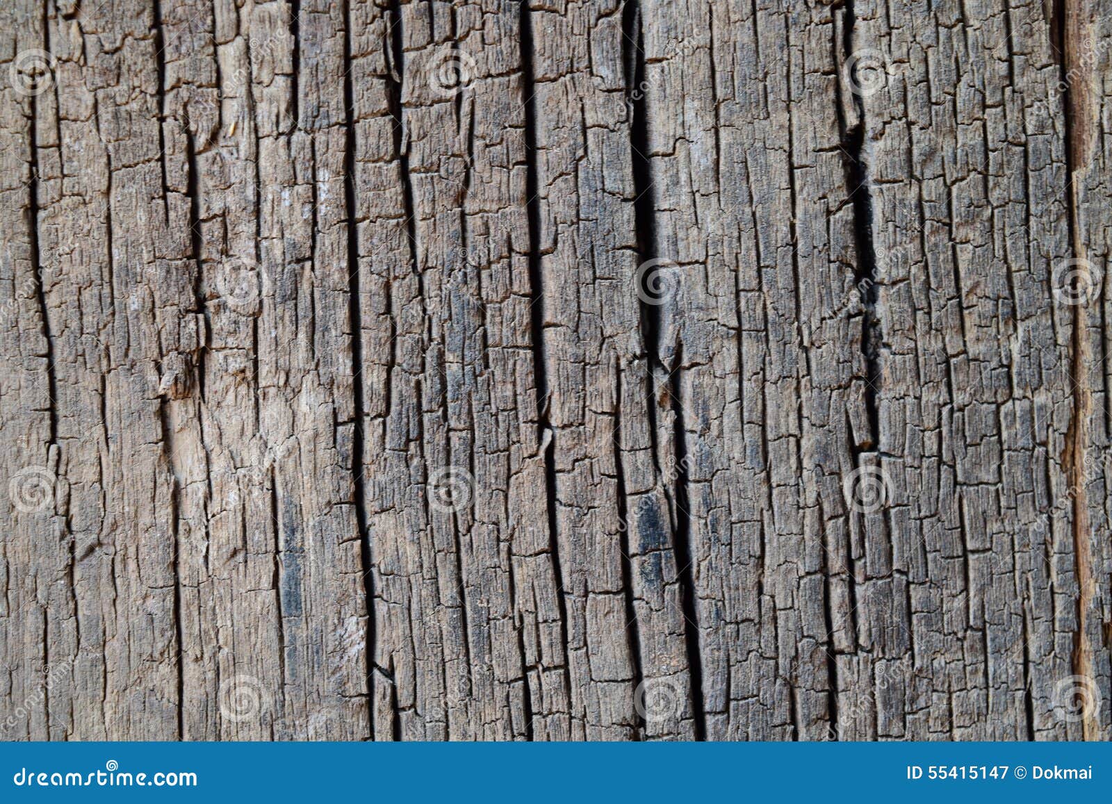 Wood Texture Used for Background Stock Image - Image of abstract, panel ...