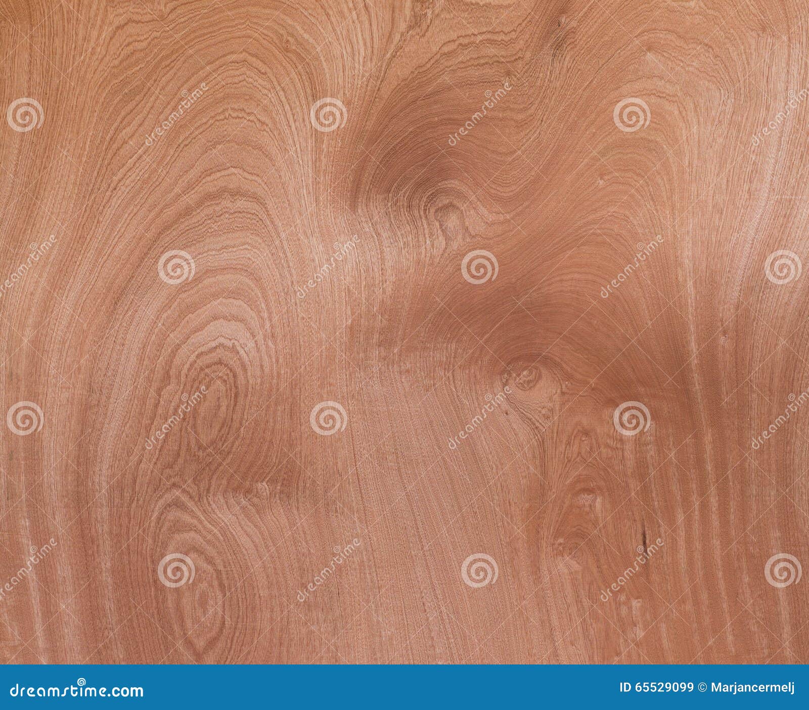 Wood Texture Veneer Abstract Natural Grain Pattern for Background Image ...