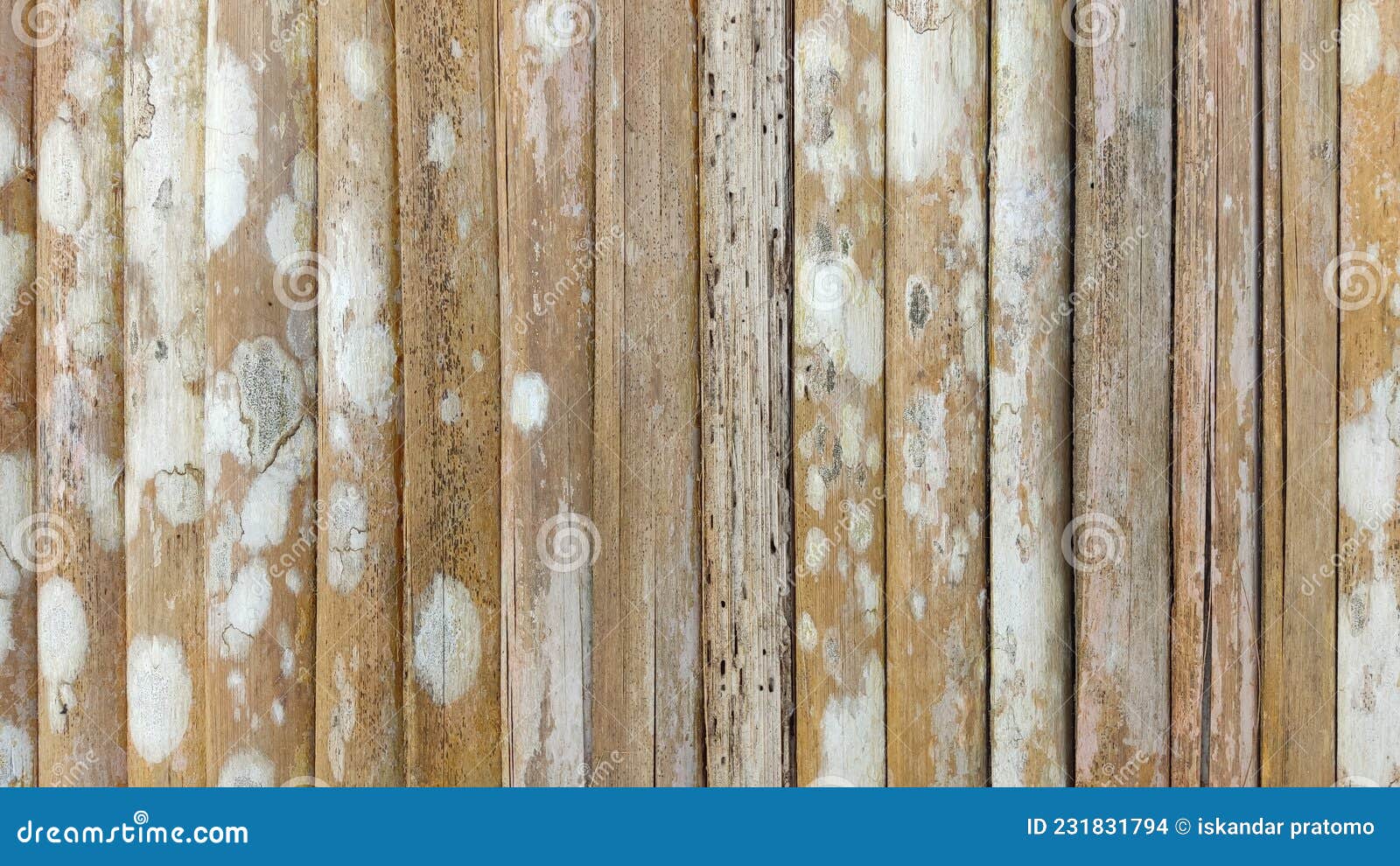 Wood Texture Vertical Nature Stock Photo - Image of texture, tree ...