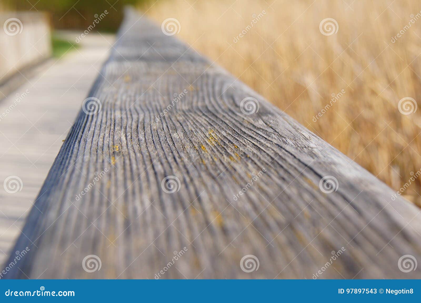 Wood texture walkway stock image. Image of dark, mahogany - 97897543