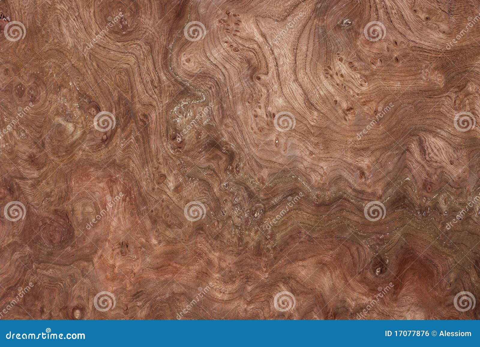 Wood Texture-walnut Royalty-Free Stock Image | CartoonDealer.com #17077876