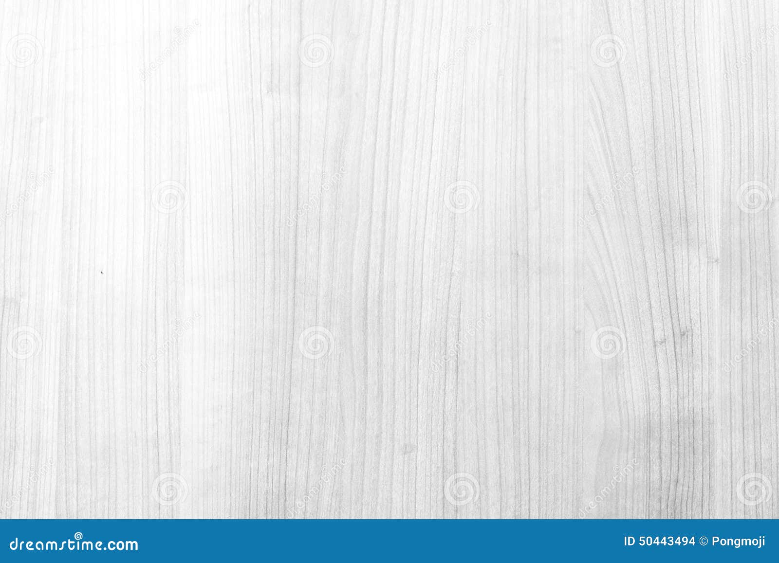Wood texture White color stock photo. Image of wood, shiny - 50443494