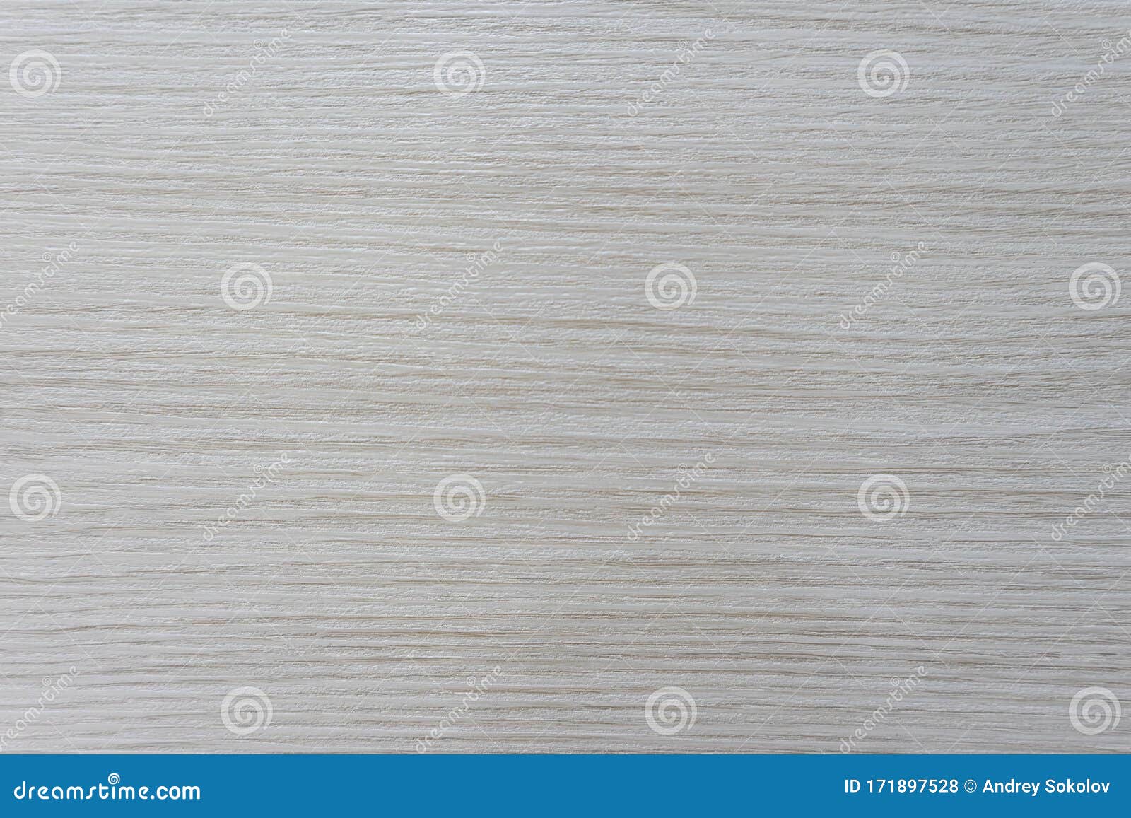 Wood Texture Whitened Oak Stock Photo | CartoonDealer.com #171897528