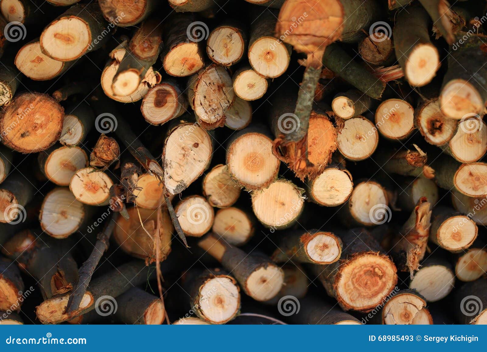 Wood texture wood fuel stock image. Image of pine, closeup - 68985493
