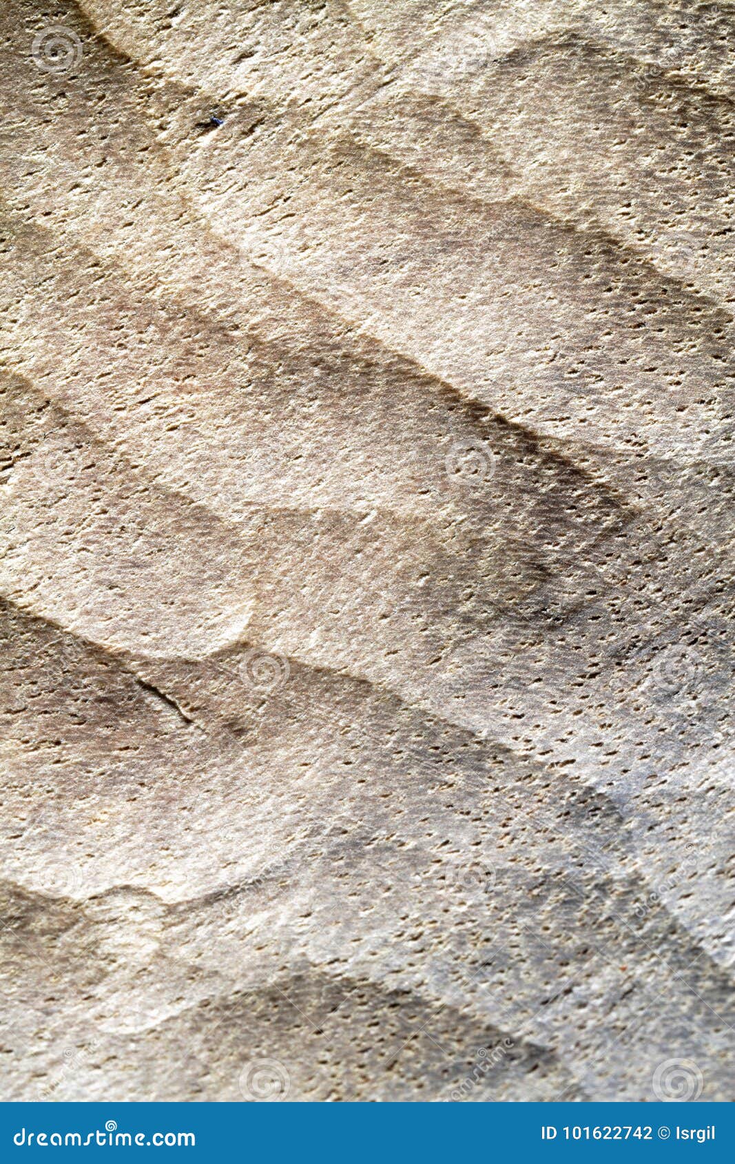 WOOD TEXTURE stock photo. Image of interior, panel, furniture - 101622742