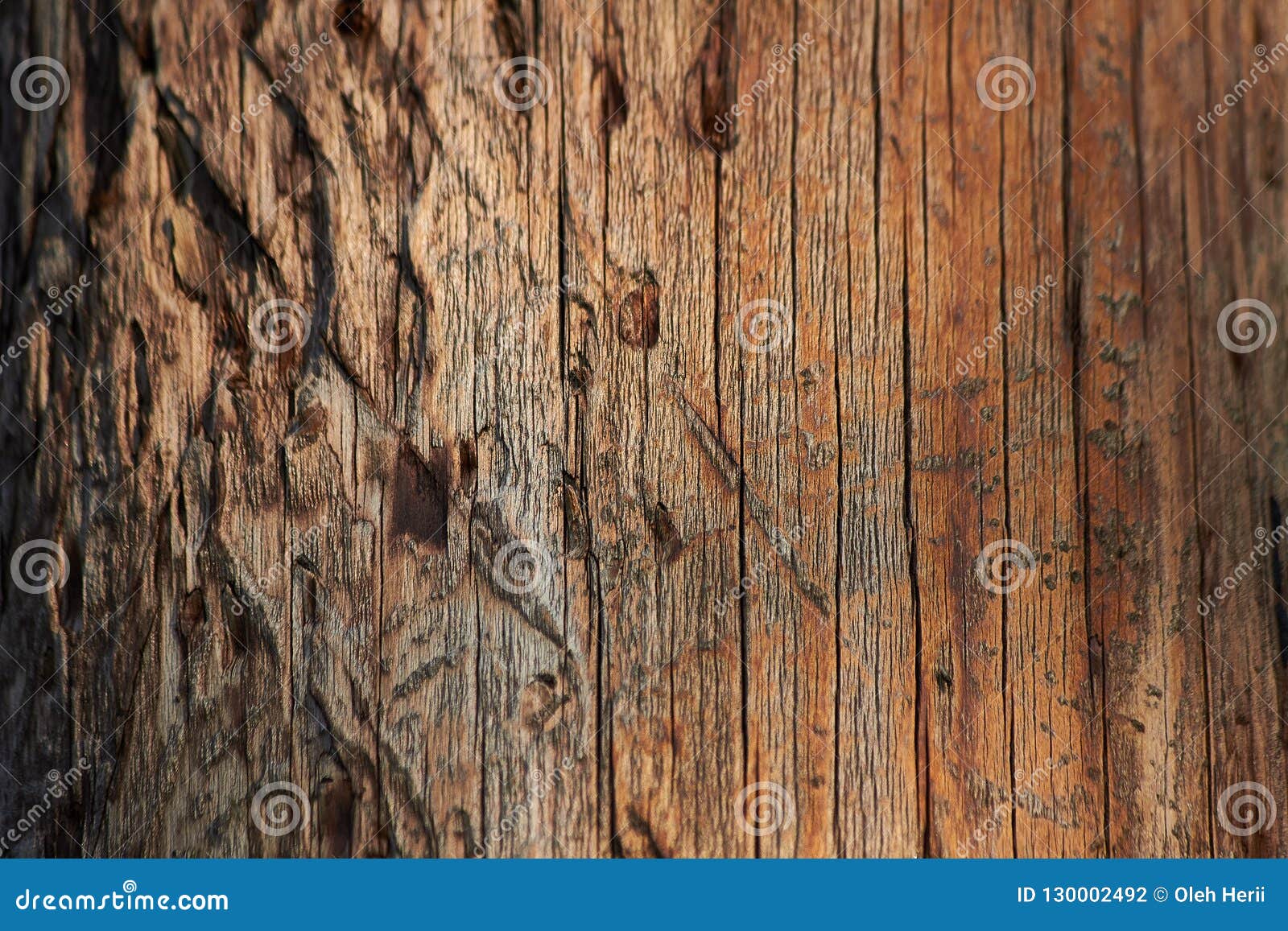 Wood texture stock photo. Image of macro, woon, lamp - 130002492