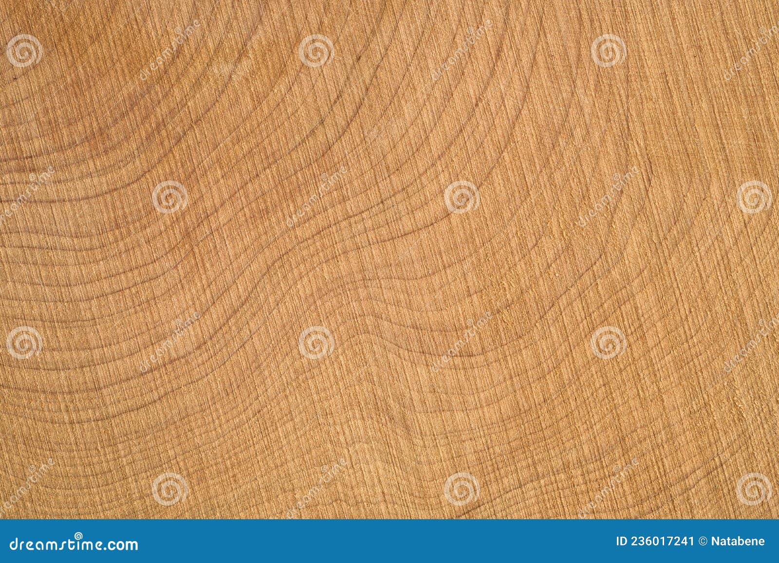 Wood Texture. Wooden Panel Macro. Natural Light Brown Seamless Maple ...