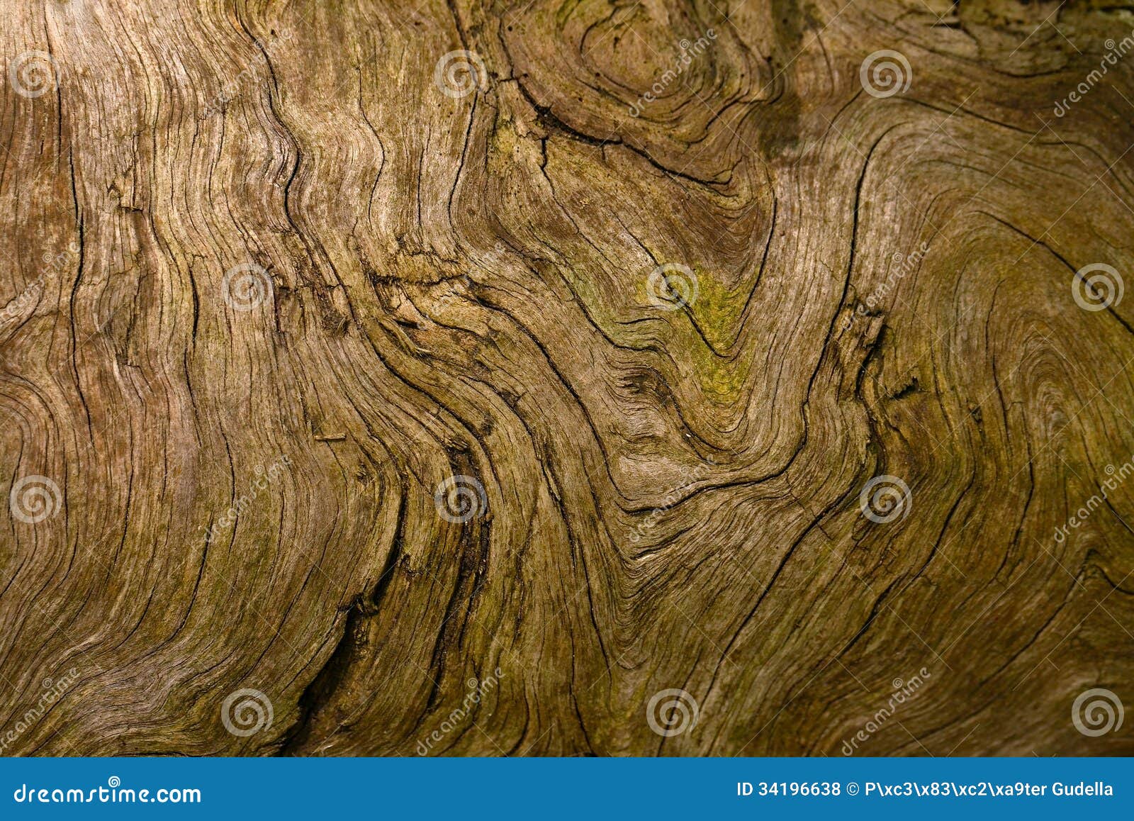 Wood Texture stock photo. Image of rough, lines, strong - 34196638
