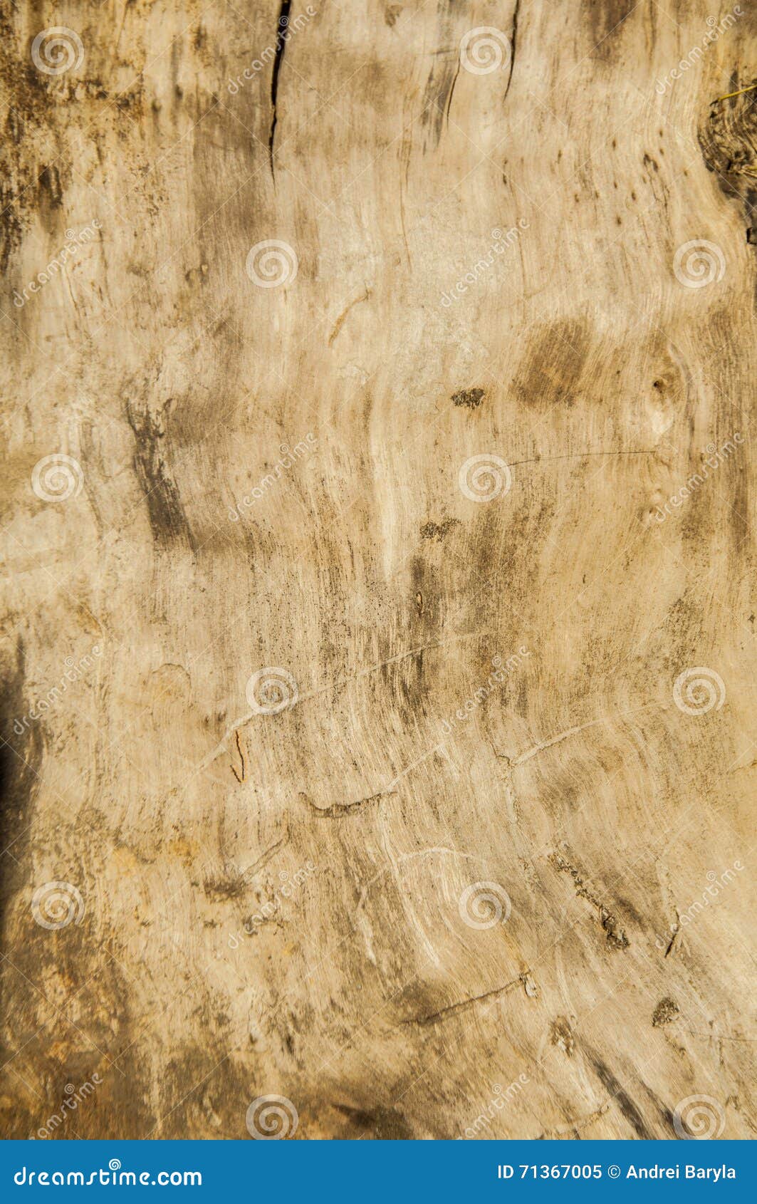 Wood Texture Yellow Abstract Old Stock Image - Image of feature ...
